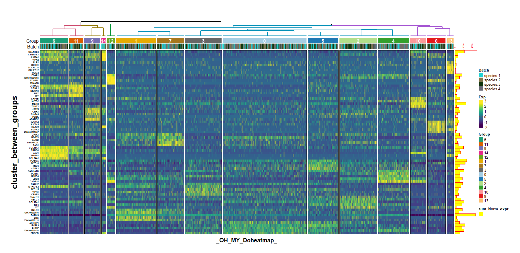 ComplexHeatmap热图样式分享-样本簇树聚类和基因表达量统计注释展示_热图 表达量-CSDN博客