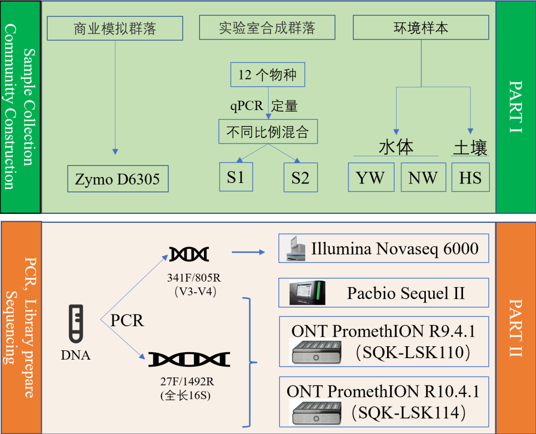 Nanopore R10.4.1全长 16s rRNA测序研究-CSDN博客