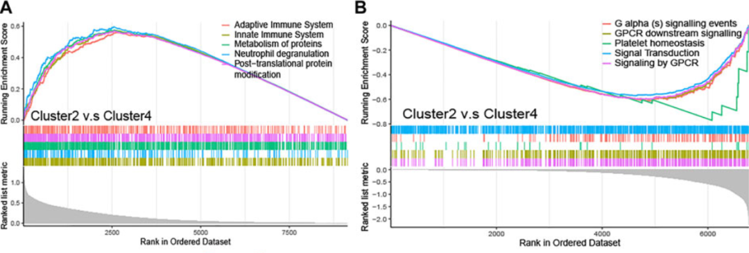 学会富集分析，必须掌握的clusterProfiler生态！-CSDN博客