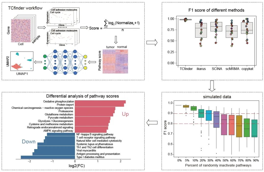 iMetaOmics期刊 第1卷第1期 在线正式发布-CSDN博客