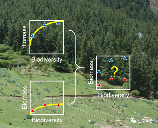 Methods Ecol. Evol. | 生物多样性与生态系统功能关系的网络预测模型_bef尺度依赖-CSDN博客