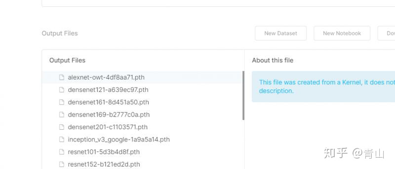 resnet152训练_借助Kaggle快速下载PyTorch预训练模型-CSDN博客