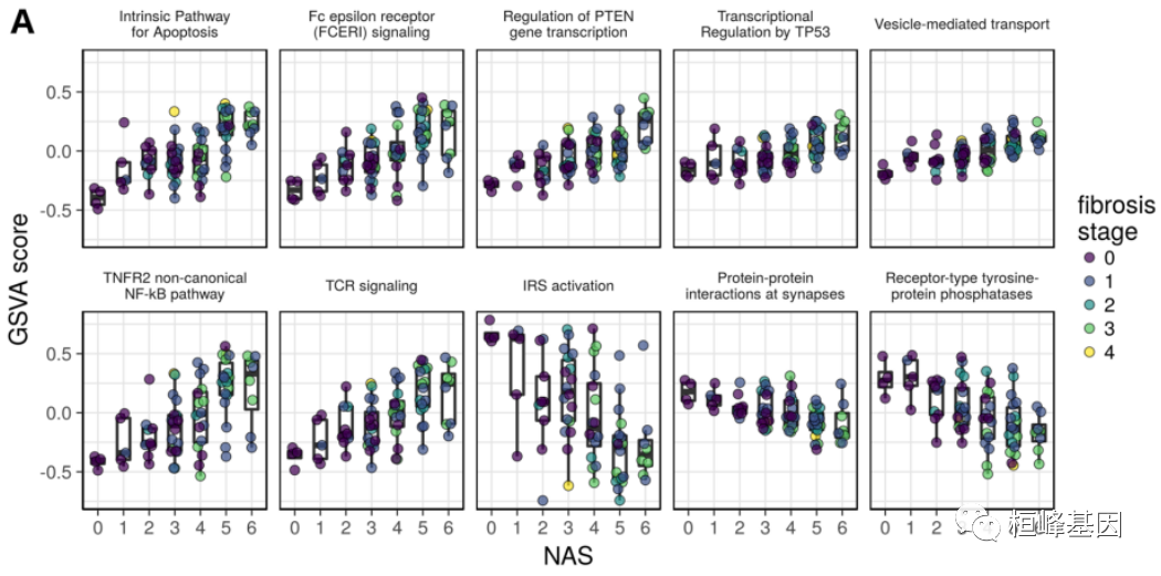 RNA 18. SCI 文章中基因集变异分析 GSVA_gsva分析-CSDN博客