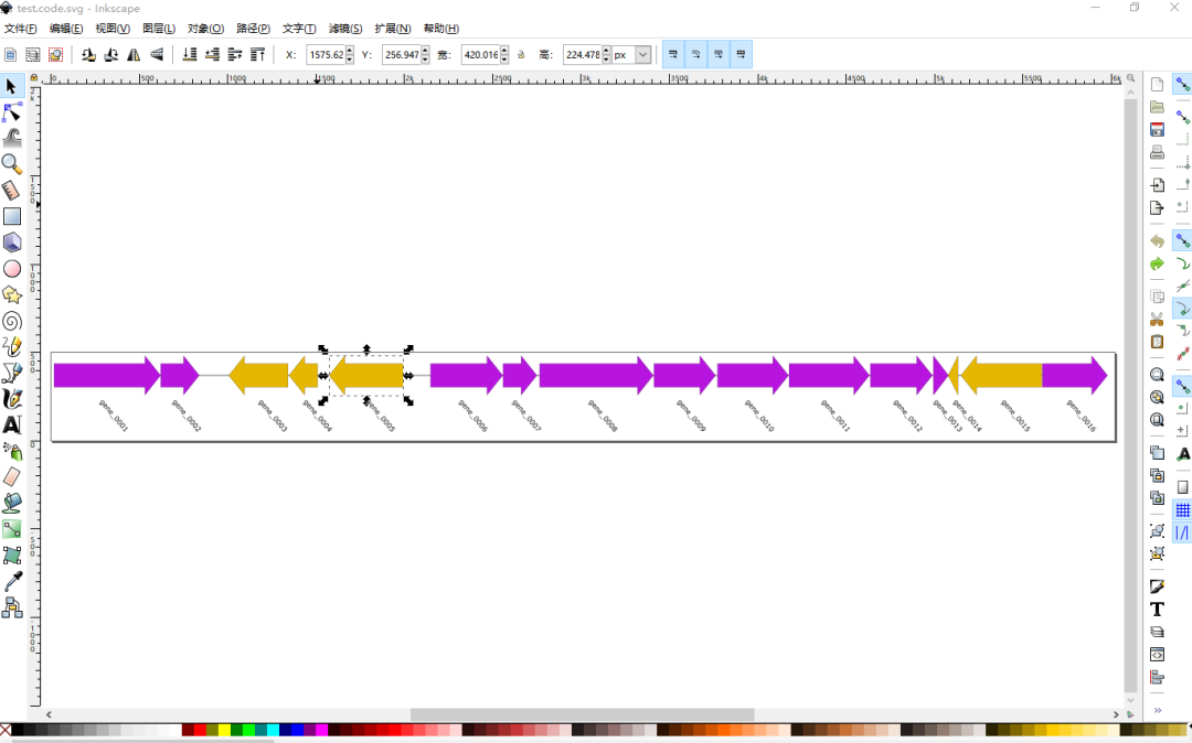 python绘制基因结构图_手把手教你从头绘制基因簇结构图_合众丰城的博客-CSDN博客