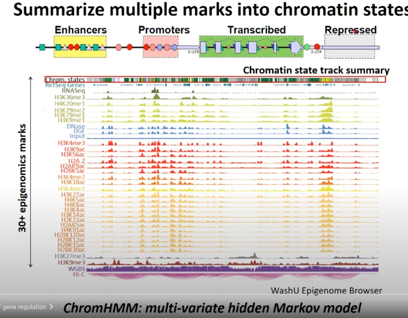 【Regulatory Genomics】Part1基因调控的生物学基础、motifs与测序技术_测序的motif及z值-CSDN博客