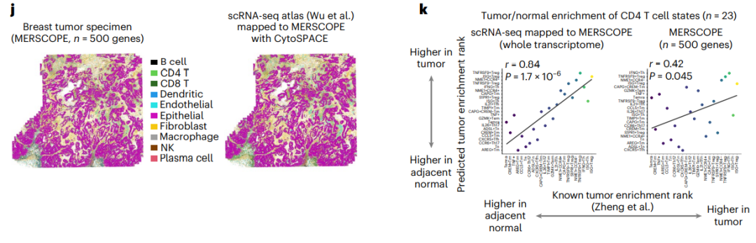 NBT | 使用CytoSPACE对单细胞和空间转录组进行高分辨率比对_cytospace task-CSDN博客