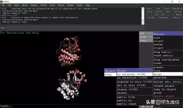 clustalw序列比对_「实用教程」- 使用PyMOL的Align进行蛋白结构叠合比对_weixin_39856265的博客-CSDN博客