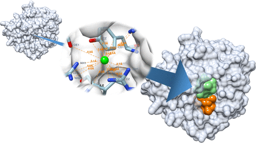 Autodock 分子对接教程_autodock分子对接-CSDN博客