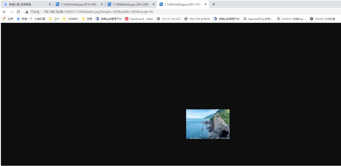 SeaWeedfs 部署+入门_seaweedfs初始化存储节点-CSDN博客