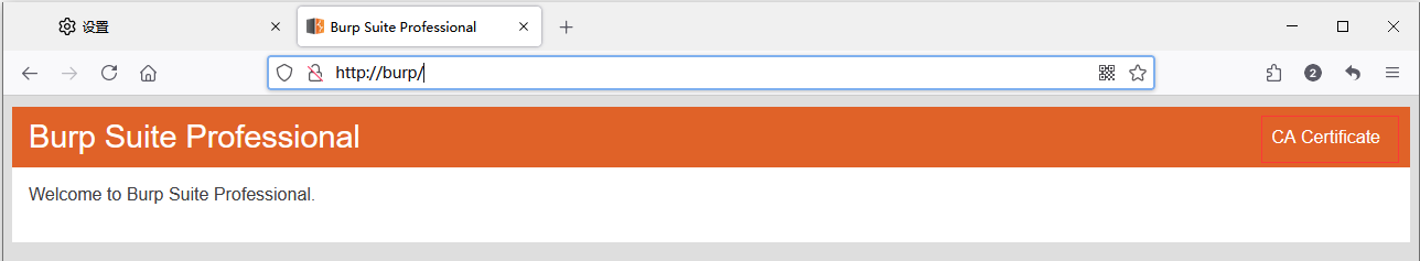配置Firefox火狐浏览器burpsuite https抓包_cacert.cer download-CSDN博客