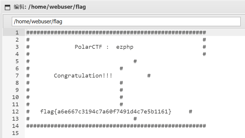 PolarCTF 2023冬季个人挑战赛 WriteUp (web部分)_polarctf 混淆code?-CSDN博客