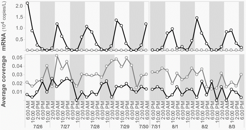 Microbiome|宏泛基因组揭示海洋细菌SAR324代谢潜力的依赖变化-CSDN博客