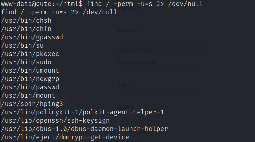 vulnhub:Cute-v1.0.2靶机_cute 靶机-CSDN博客