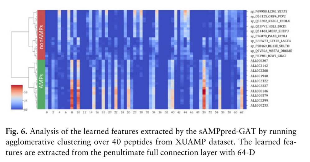 sAMPpred-GAT：通过图形注意力网络预测抗菌肽并预测肽结构-CSDN博客