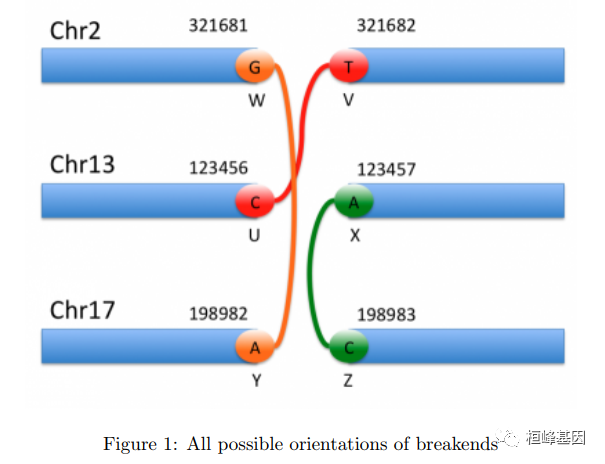 DNA 5. 基因组变异文件VCF格式详解_vcf文件示例-CSDN博客
