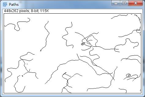 距离分析导出_干货 | ImageJ分析时间序列图像_我解决我的问题的博客-CSDN博客