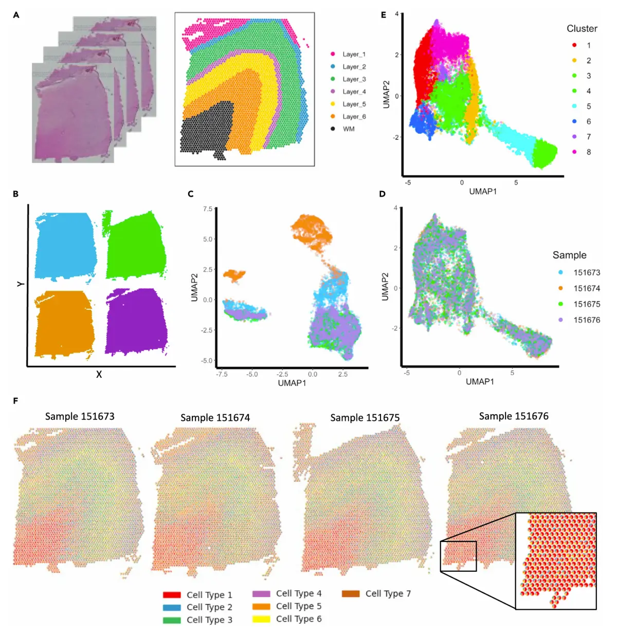 多样本空间转录组学联合解卷积分析与跨样本转录相似性分析_spatialexperiment::read10xvisium-CSDN博客