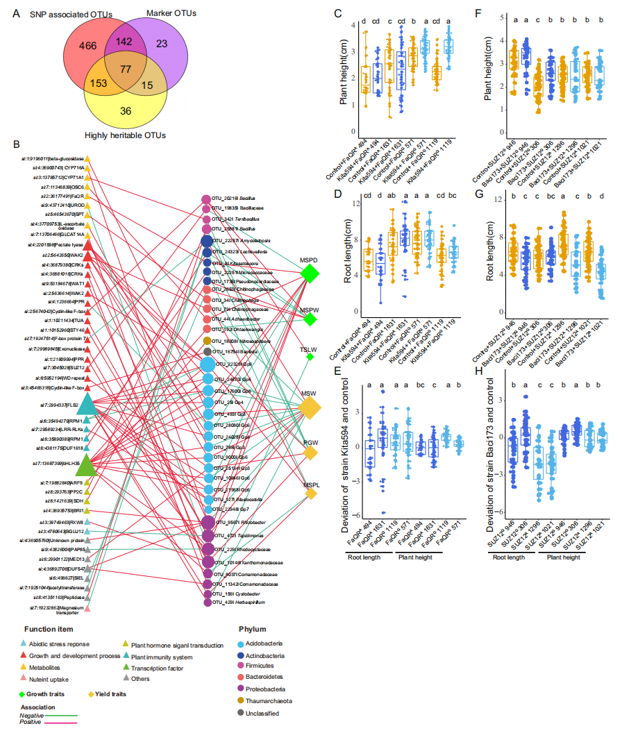 宿主基因组-微生物关联（mGWAS）新思路！-CSDN博客