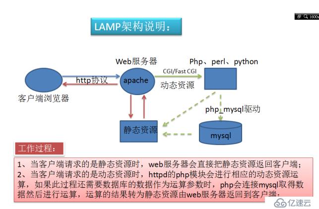 LAMP 架构介绍及环境搭建-CSDN博客