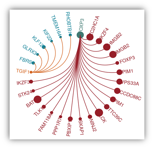PySCENIC（四）个性化分析：pyscenic结果之差异转录因子分析及其他可视化_pyscenic分析中怎么查看tf的靶基因-CSDN博客