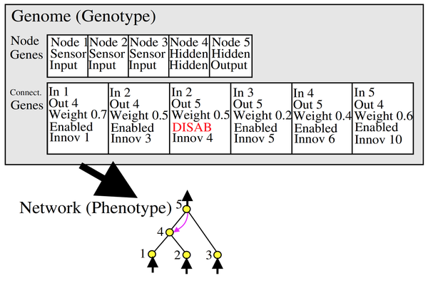 莫烦python神经网络进化(NeuroEvolution)之最全篇_莫烦csdn-CSDN博客