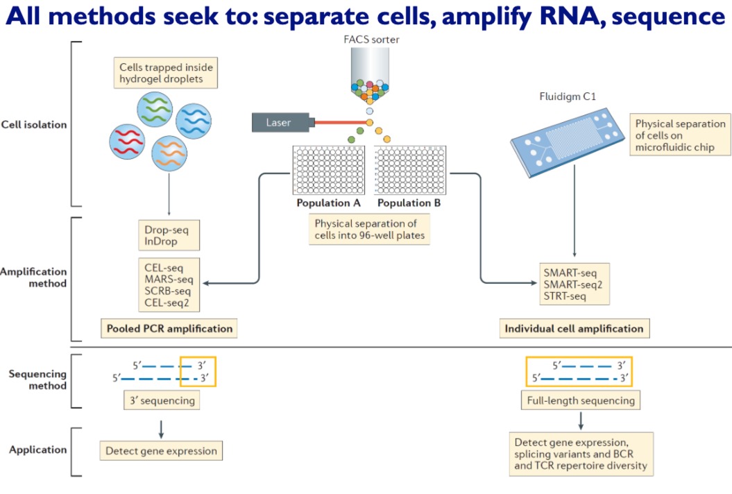 【Single Cell Genomics】Part1 单细胞基因组学_scatac-seq和scrna-seq区别-CSDN博客