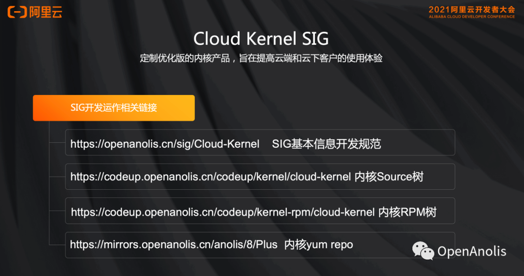 鱼和熊掌可得兼：Anolis OS双内核特性解读 | 龙蜥专场（二）-CSDN博客