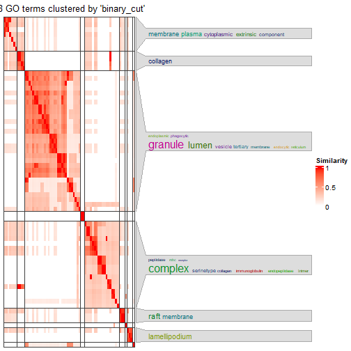simplifyEnrichment简化富集分析结果-CSDN博客