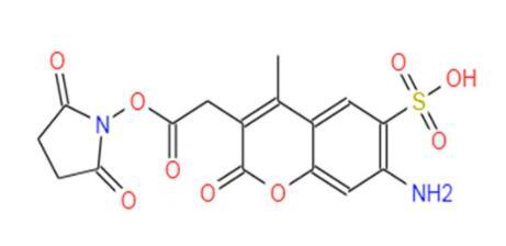 AF350 NHS，AlexaFluor350 NHS ester，AF 350活性酯，适合与350 nm紫外激光一起使用-CSDN博客