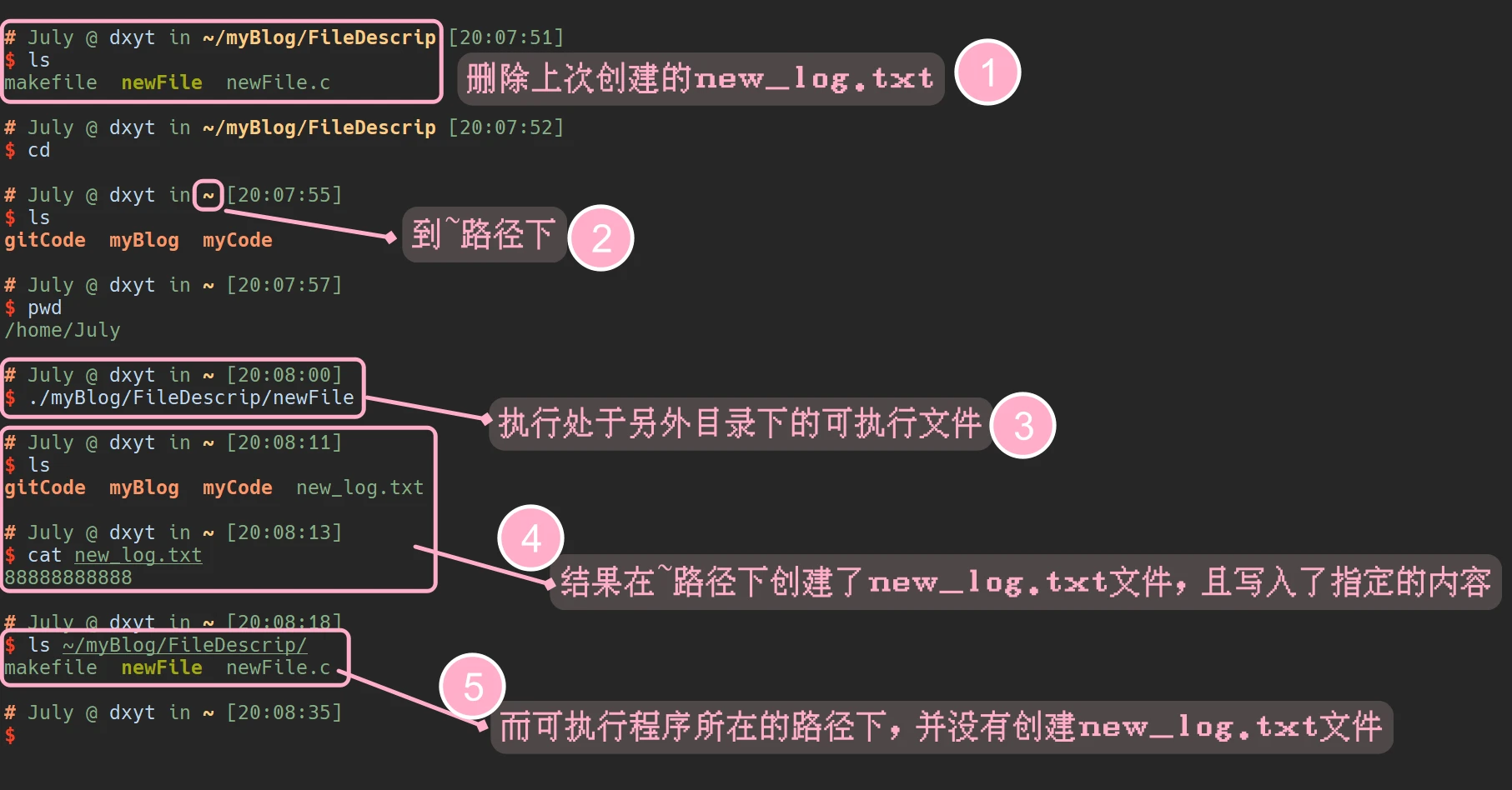 【Linux】[万字] Linux下的文件操作 及 Linux文件描述符fd 详解_linux fd-CSDN博客