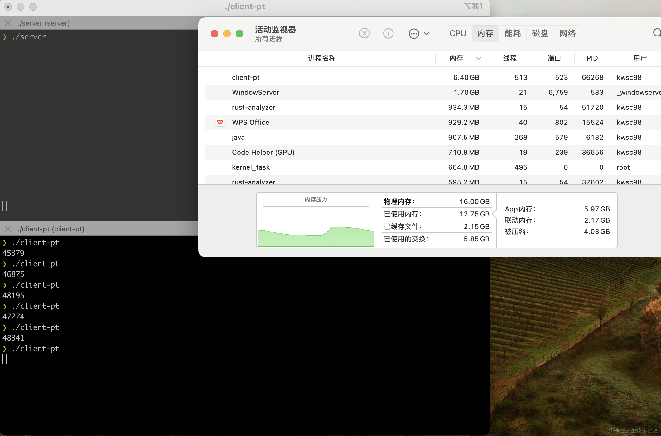 Rust微服务杀手级应用终于来了！一个最像RPC框架的Rust-RPC框架_rust 微服务框架-CSDN博客