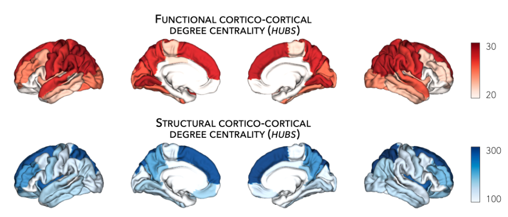 ENIGMA-Toolbox-CSDN博客
