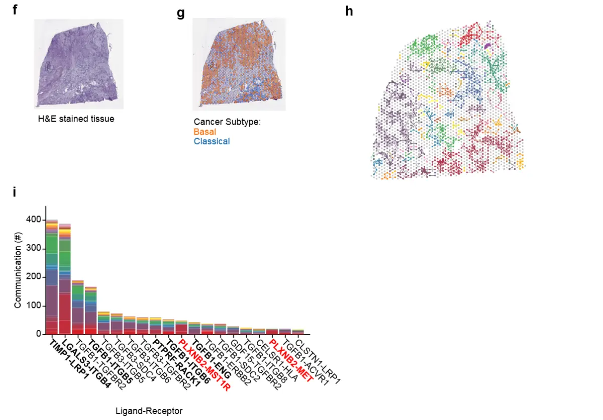 10X空间转录组NEural network on Spatial Transcriptomics_10x空间转录组数据翻译-CSDN博客