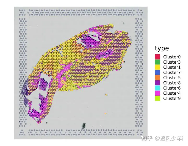 10X空间转录组数据分析之细胞百分比饼图的绘制_怎么更改空间转录组的图像的配色-CSDN博客