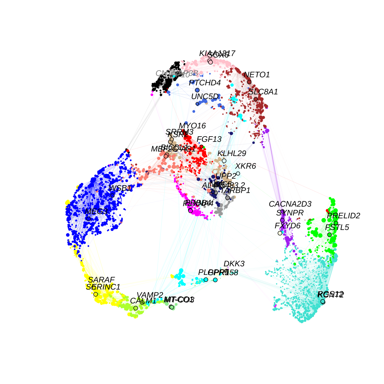 针对高维数据（10X单细胞空间）的共表达网络分析（hdWGCNA）_hdwgcna找到hub基因以后怎样分析?-CSDN博客