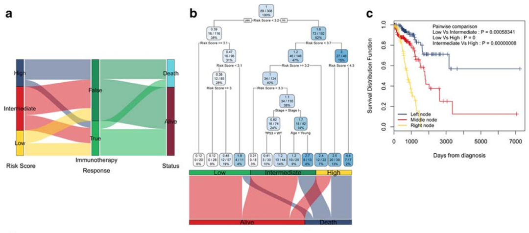 c5.0决策树算法_决策树与随机森林（5）—— 应用决策树算法的13篇文献解读-CSDN博客