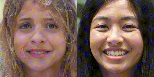 3D GAN：更快地生成 三维几何数据-CSDN博客