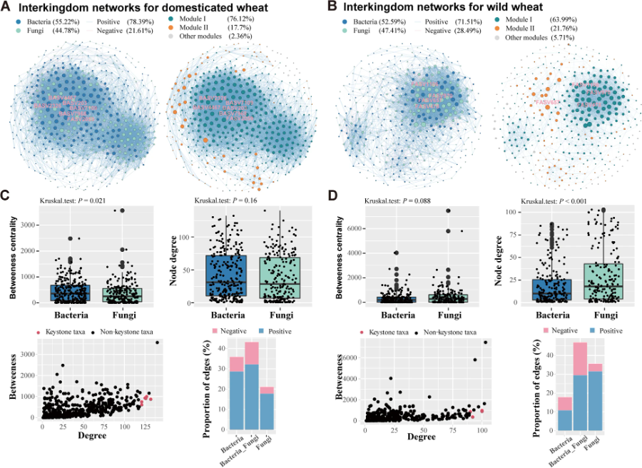 Microbiome | 西农韦革宏团队揭示植物驯化塑造小麦根际微生物组组装和代谢功能...-CSDN博客