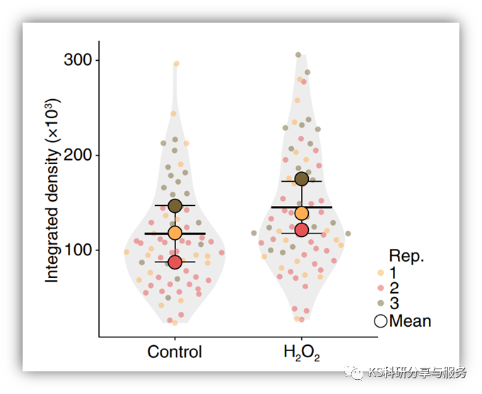 复现《nature communications》散点小提琴图加蜜蜂图_ggbeeswarm绘制分簇散点图代码-CSDN博客
