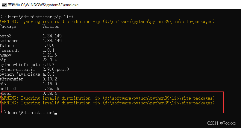 WARNING: Ignoring invalid distribution -ip警告信息如何去掉？-CSDN博客