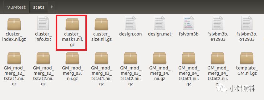 vbm 分析_手把手系列教程：使用FSL进行VBM分析_尹昉的博客-CSDN博客