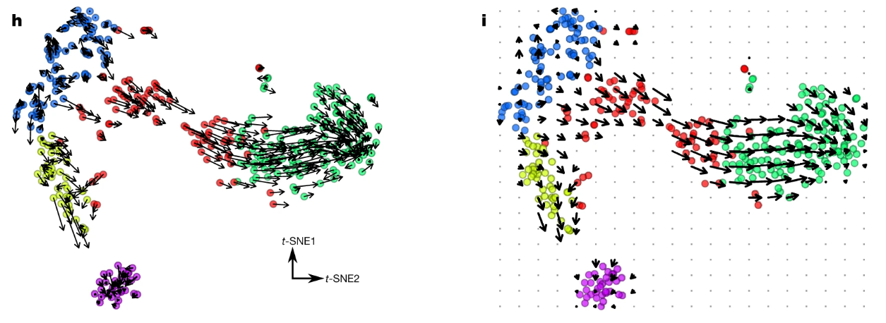 2020-011 RNA velocity of single cells_rna velocity的方向-CSDN博客