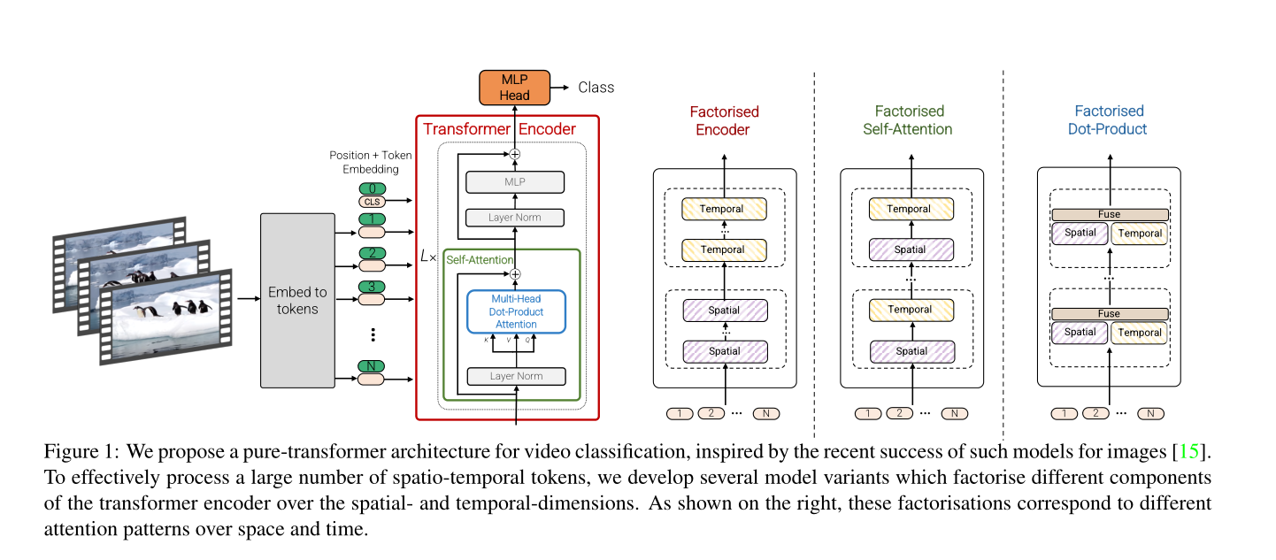 行为识别 - ViViT: A Video Vision Transformer_什么是vivit-CSDN博客
