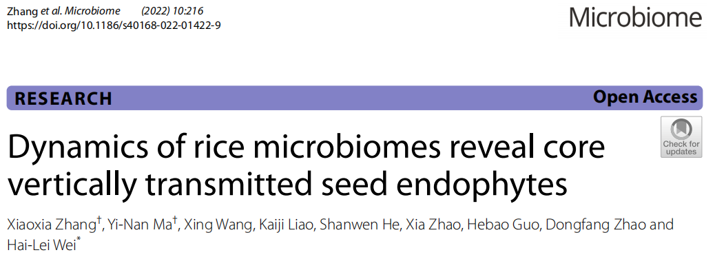 Microbiome | 农业微生物资源团队揭示水稻种子内生核心微生物组垂直传播机制-CSDN博客