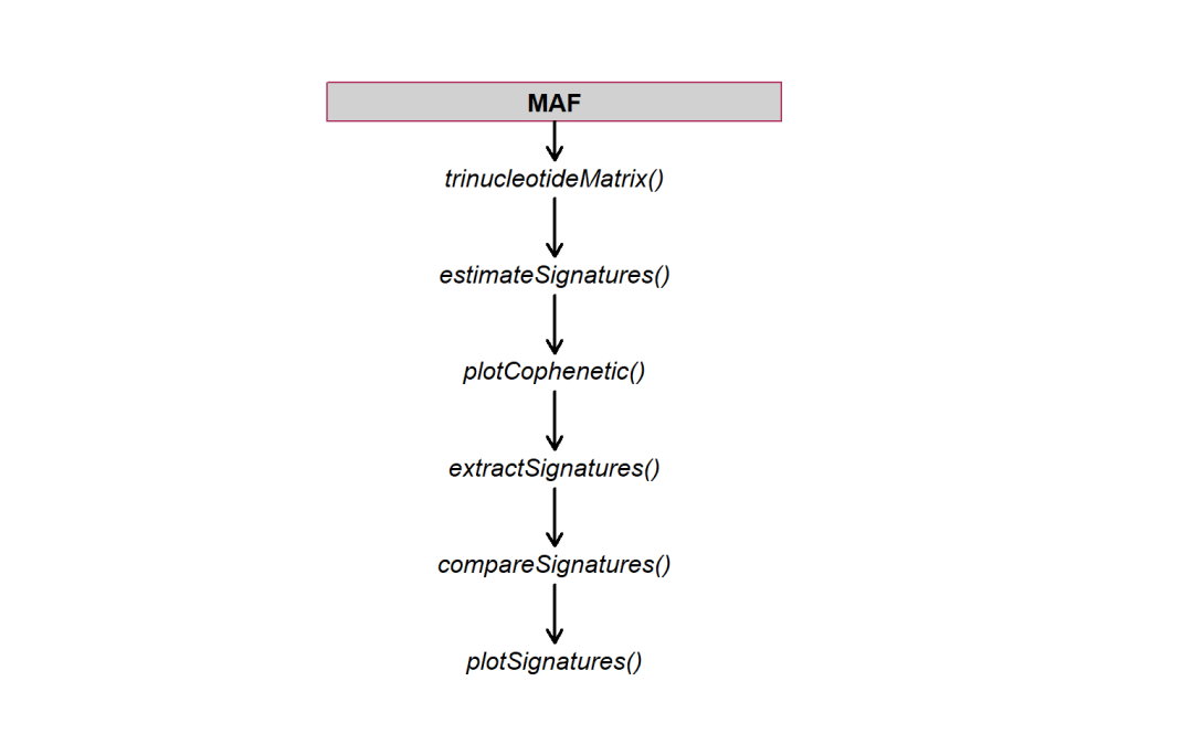 一文学会R包 maftools 简介使用-CSDN博客