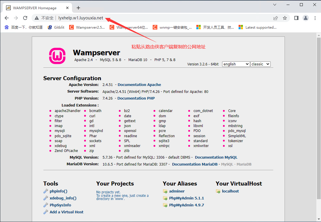 外网访问 WampServer 服务_wampserver 对外访问-CSDN博客