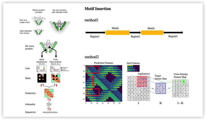 RFDesign: de novo protein design的破局者_rfjoint-CSDN博客
