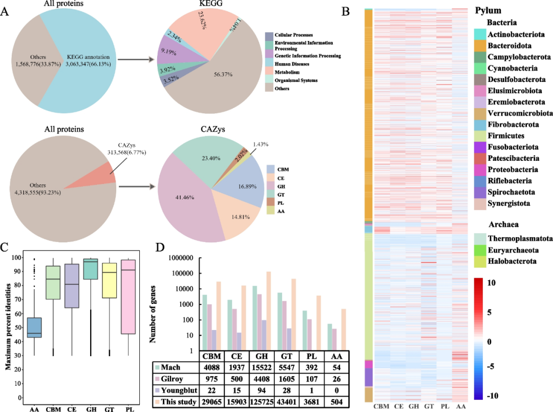 Microbiome | 石河子大学胡圣伟教授团队揭示马肠道微生物组组成及其功能-CSDN博客