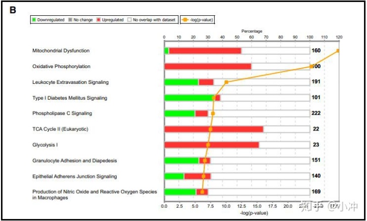 go操作excel方便么_Go（Gene Ontology） analysis——“生信分析”基础四_悠玲的博客-CSDN博客