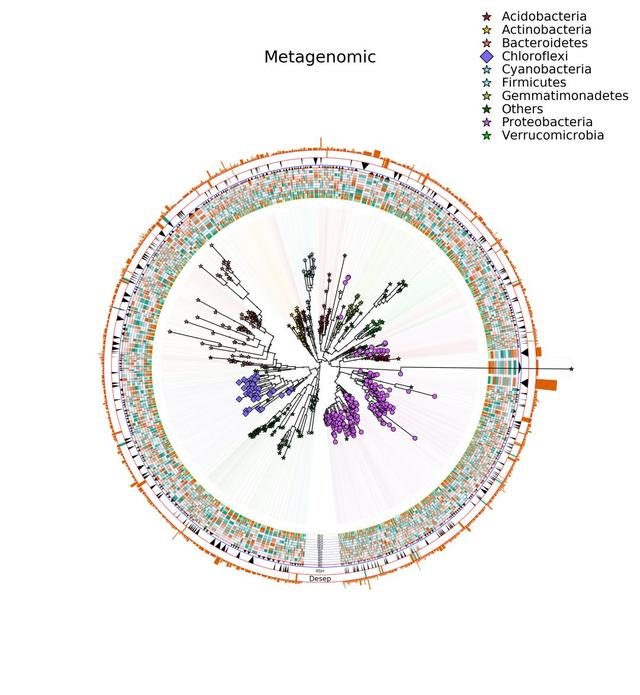 bootstrap树节点如何设置默认不展开_GraPhlAn：最美进化树或层级分类树学习笔记-CSDN博客